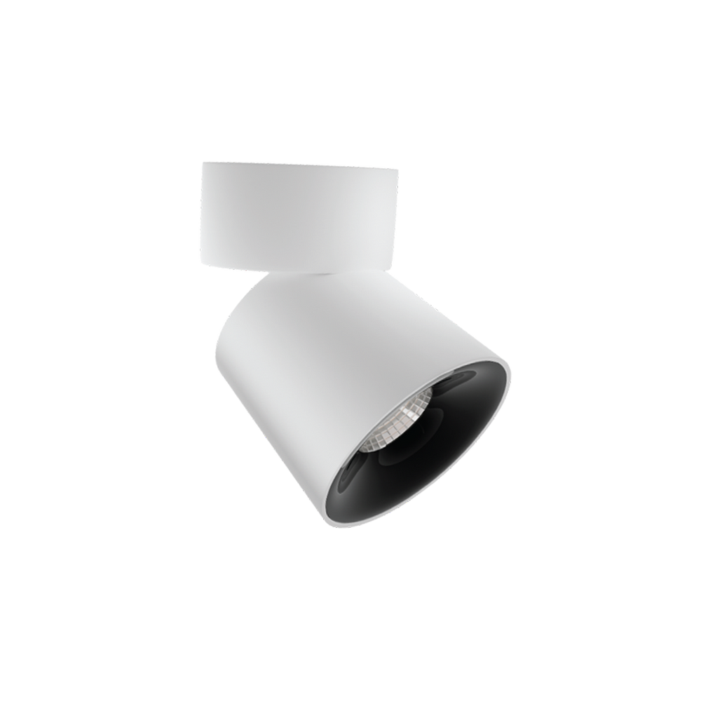 Flexi Cylinder COB Light | Architecture Lights | Sigtron